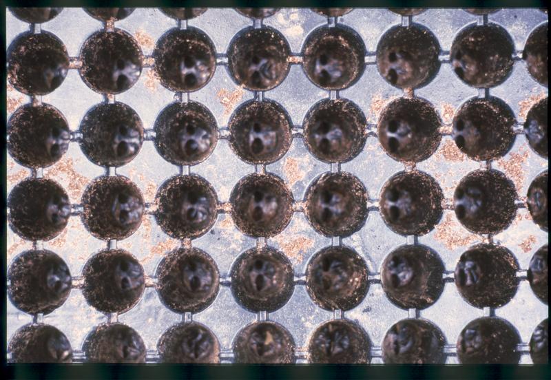 Farm Textures (Public Domain)